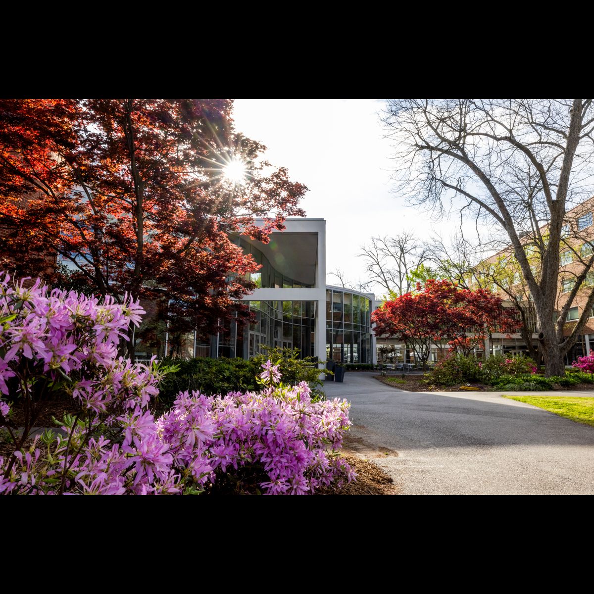 UGA Center for Continuing Education & Hotel