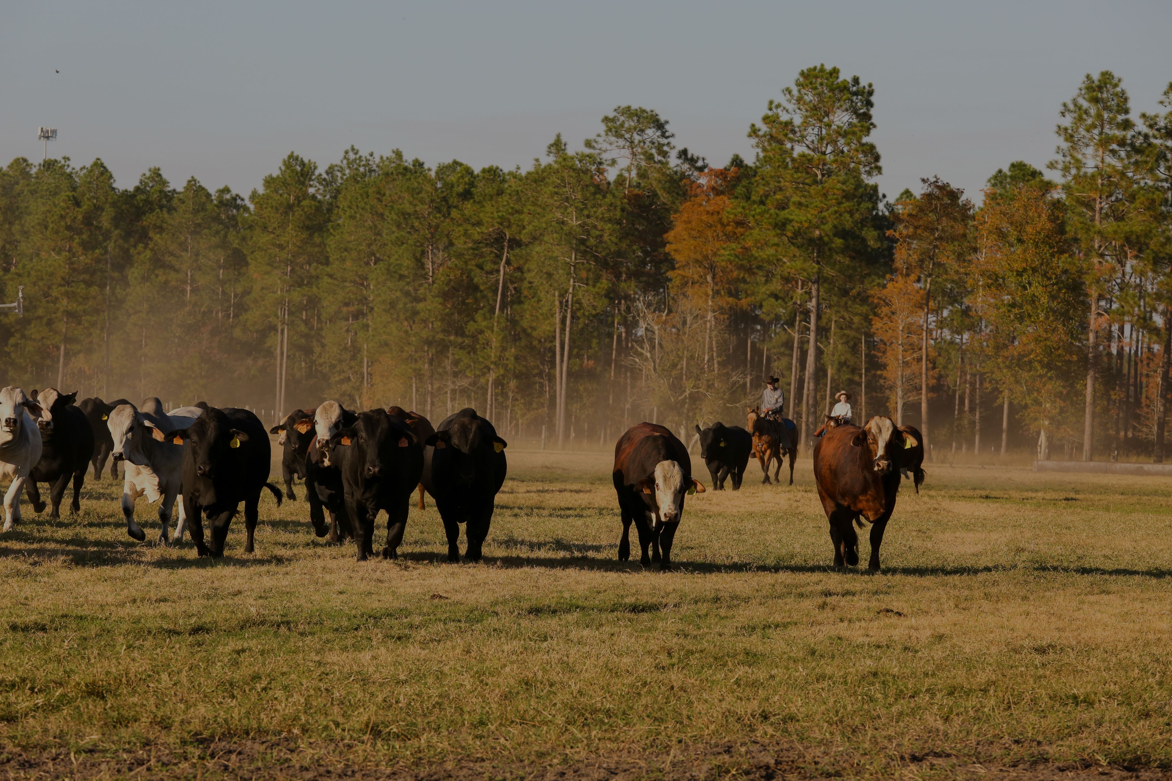 Outreach Magazine 2025 | UGA Public Service and Outreach